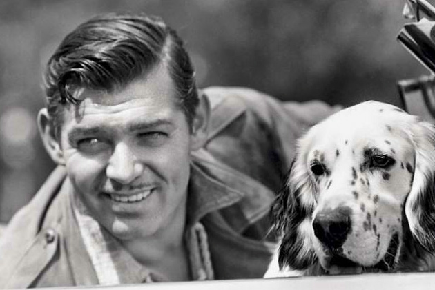 Clark Gable: “Hollywood királya” - Cultura.hu
