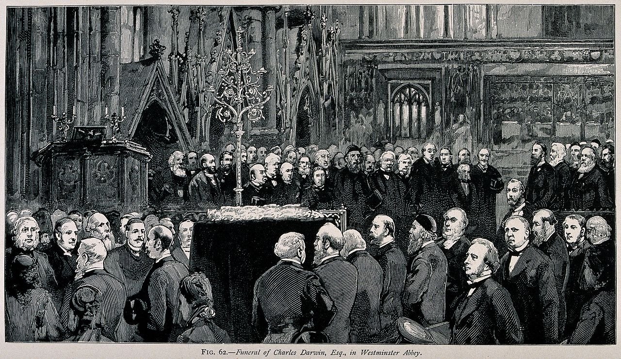 Charles Darwint lenyűgözte a tudomány - Cultura.hu